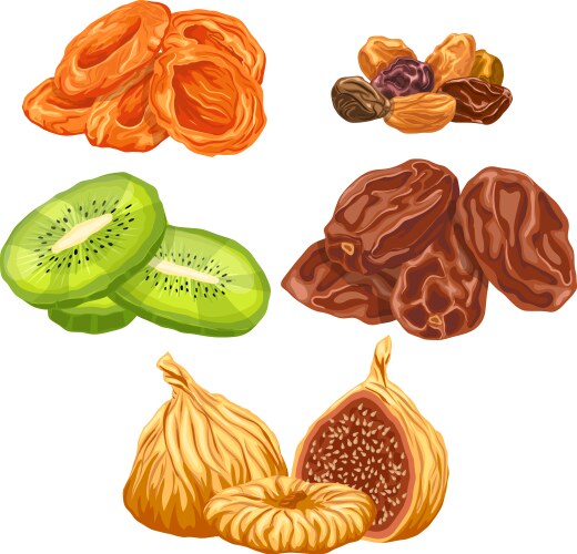 Apricot dried fruit cartoon Royalty Free Vector Image