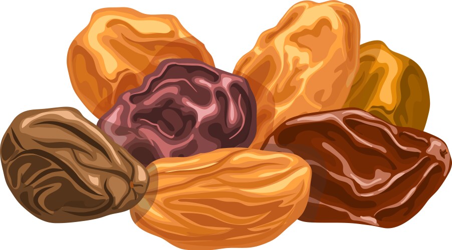 Raisins Vector Images (over 3,200)