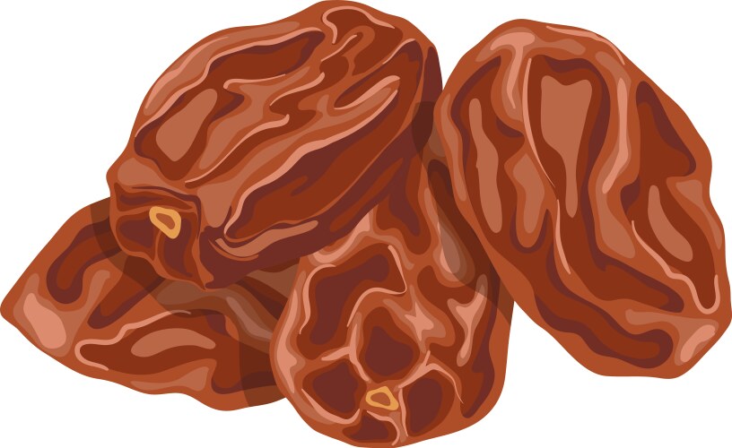 Sketch drawing dates fruits in clay bowl healthy Vector Image