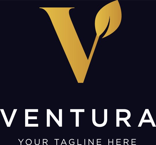 Initial v logo design inspiration Royalty Free Vector Image