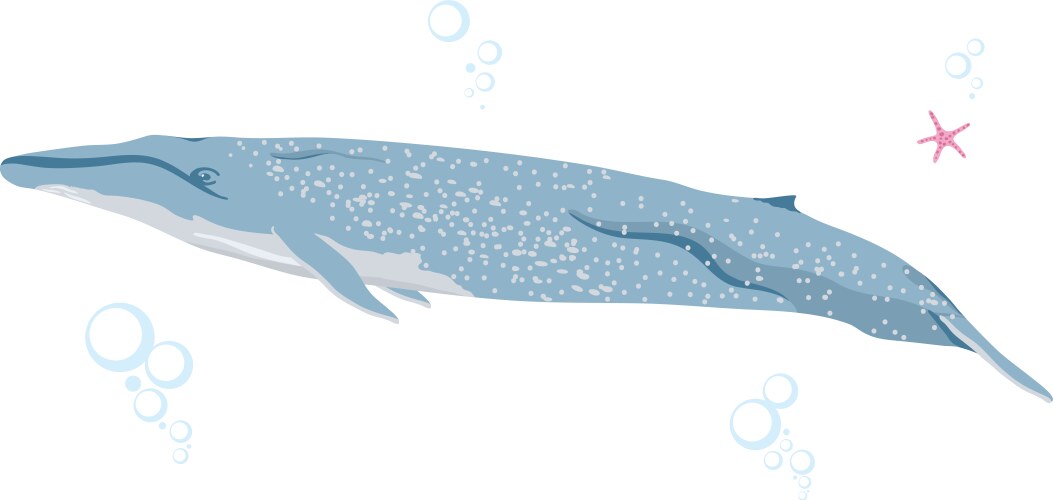 Whale Outline Vector Images (over 6,800)