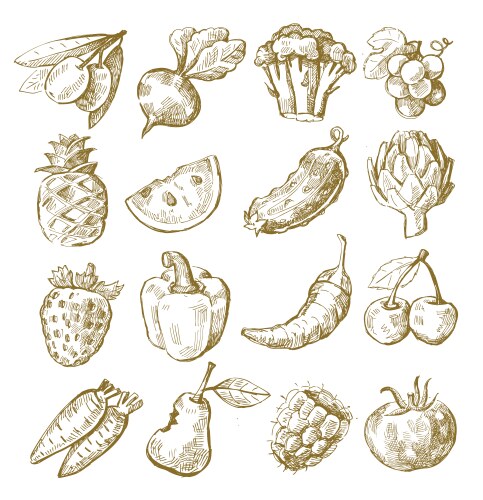 Vegetable Vector Images (over 600,000)