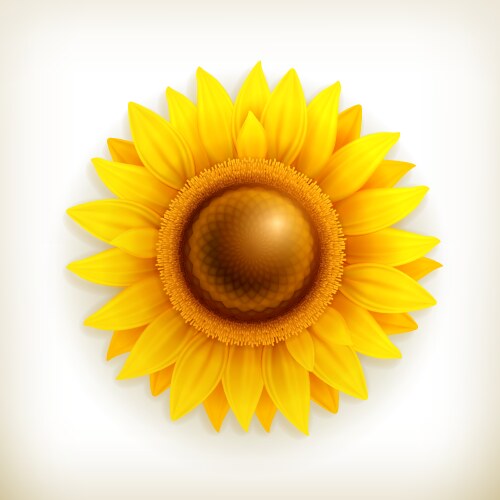 Sunflower Vector Images (over 47,000)