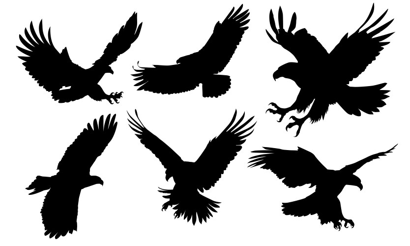 Attacking Eagle Vector Images (over 1,500)