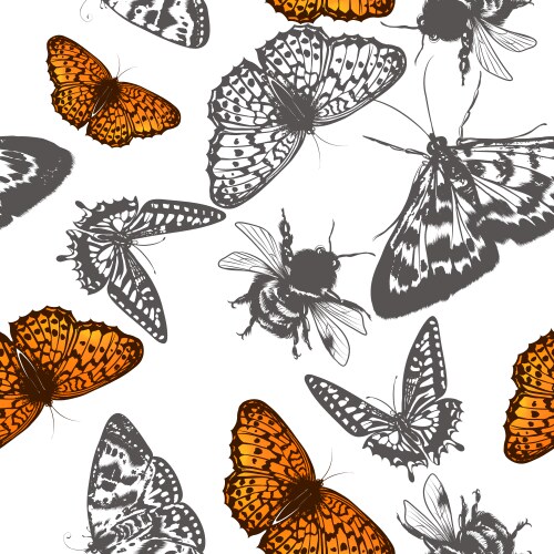 Butterfly design elements Royalty Free Vector Image