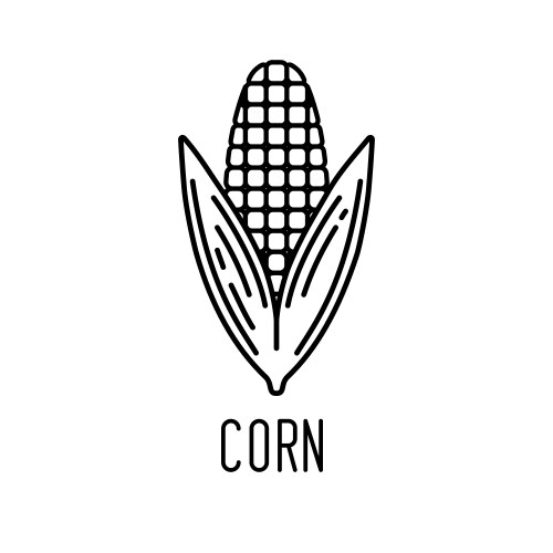 Corn kernels line outline icon Royalty Free Vector Image