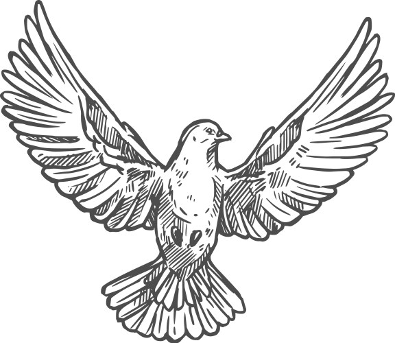 Outline Pigeon Vector Images (over 9,100)
