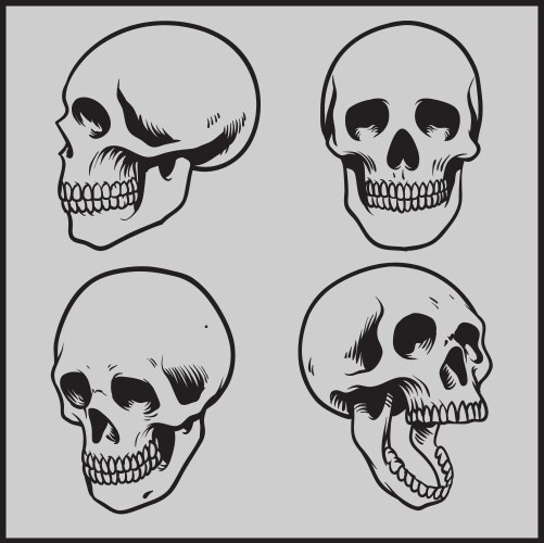 Free Skull Vector Images (over 8,800)