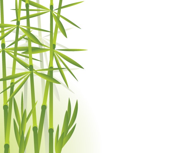 Bamboo Border Vector Images (over 2,300)