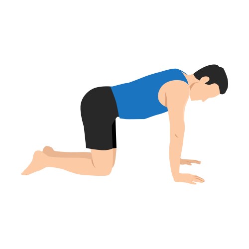 Man doing tuck planche calisthenics exercise Vector Image