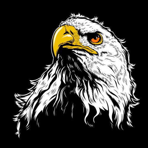Eagle Head Vector Images (over 23,000)