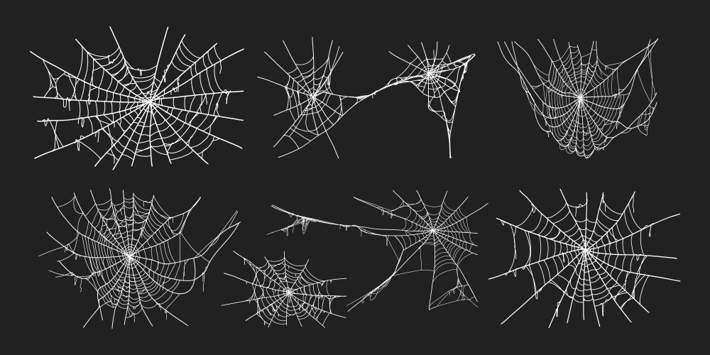 Spooky halloween old spider web with various sizes