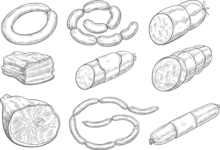 Butchery backdrop banner different kind sausages Vector Image