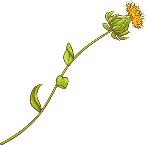 Plant Vector Images (over 2.1 million)