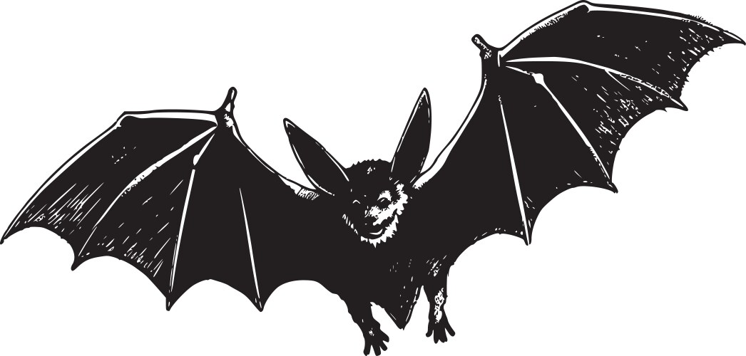 Bat Vector Images (over 150,000)