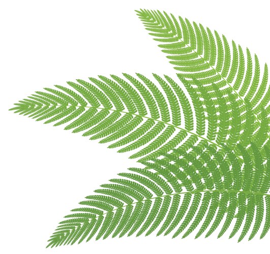 Fern Vector Images (over 20,000)