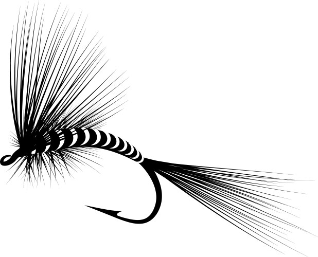 Dry fly Royalty Free Vector Image - VectorStock