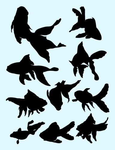 Goldfish or common fish silhouette Royalty Free Vector Image