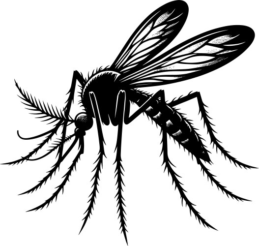 Mosquito silhouette isolated on white background Vector Image