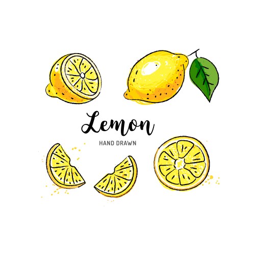 Ten lemons Royalty Free Vector Image - VectorStock