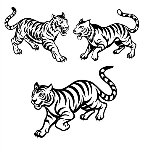 Tiger walking svg Royalty Free Vector Image - VectorStock