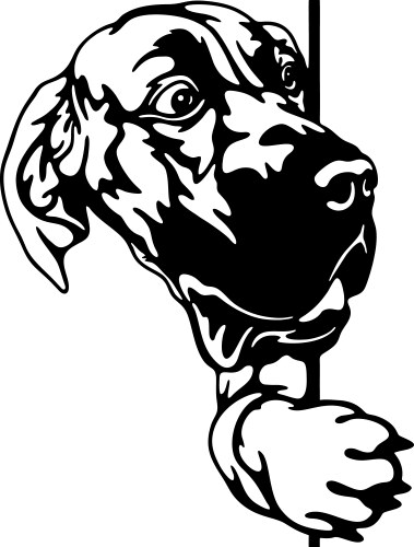 Dog Scared Cartoon Vector Images (over 300)