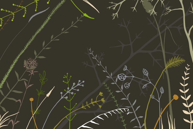 Flowers and grass on white grassland collection Vector Image