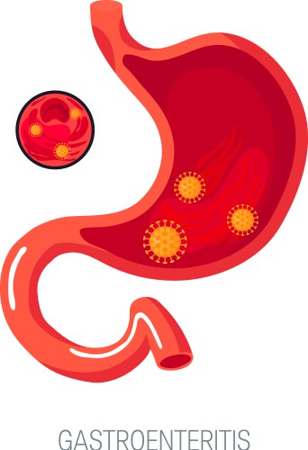 Human stomach in flat style icon Royalty Free Vector Image