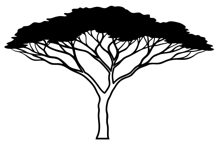 Acacia tree silhouette g Royalty Free Vector Image