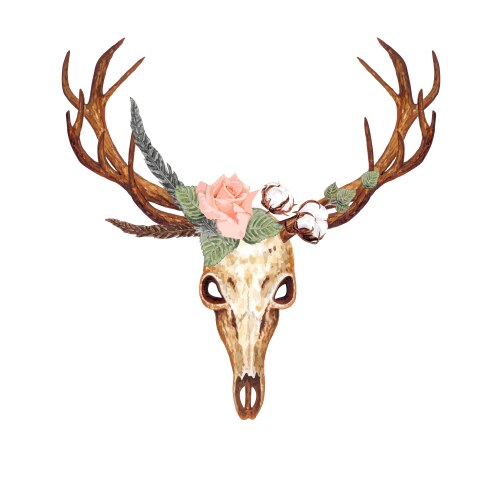 A deer skull with roses and boho pattern Vector Image