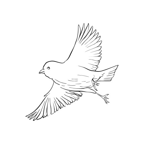 Flying Vector Images (over 840,000)