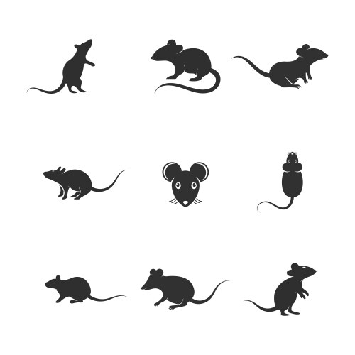 Rat Vector Images (over 32,000)