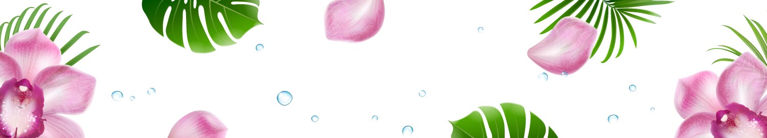 Banners with orchid flowers Royalty Free Vector Image