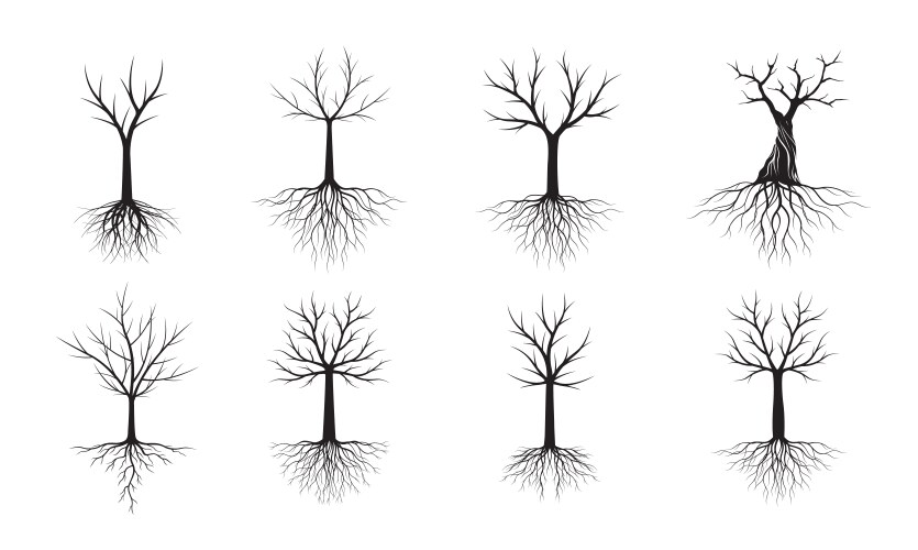 Tree roots set Royalty Free Vector Image - VectorStock