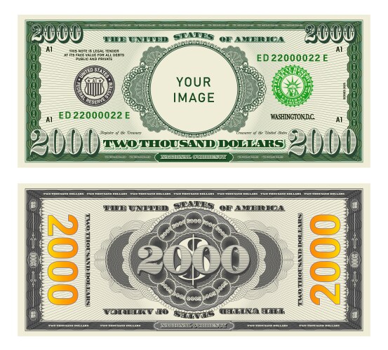 Highly detailed fictional beautiful 10000 usd Vector Image