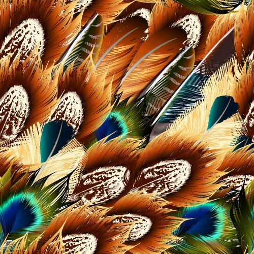 Feathers Vector Images (over 280,000)