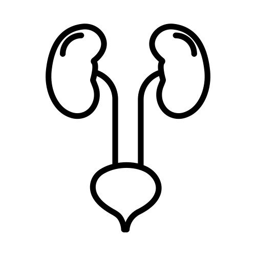 Urinary system icon black line art logo Royalty Free Vector