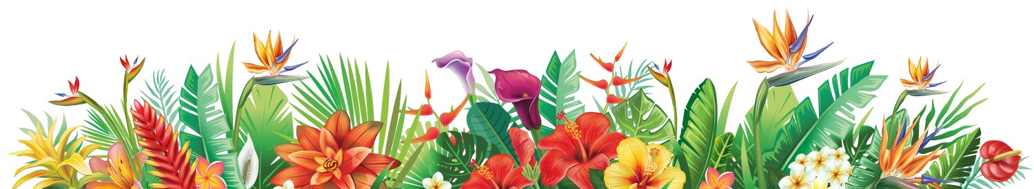Bouquet of tropical flowers Royalty Free Vector Image