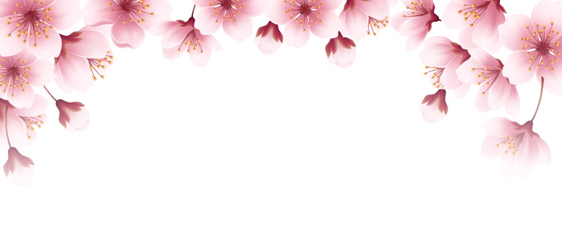 Cherry Blossom Flower Border