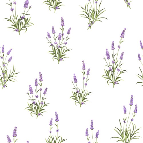 Lavender Vector Images (over 20,000)