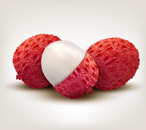 Lychee Vector Images (over 3,600)