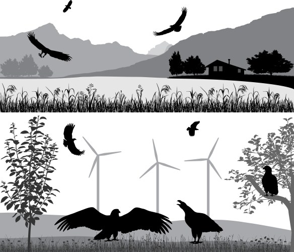 Wildlife Vector Images (over 960,000)