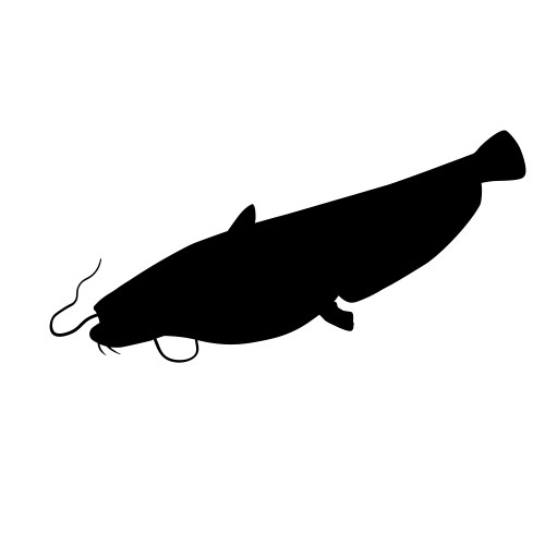 Catfish Outline Vector Images (over 1,000)