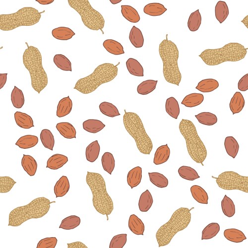 Peanut kernels seamless pattern Royalty Free Vector Image