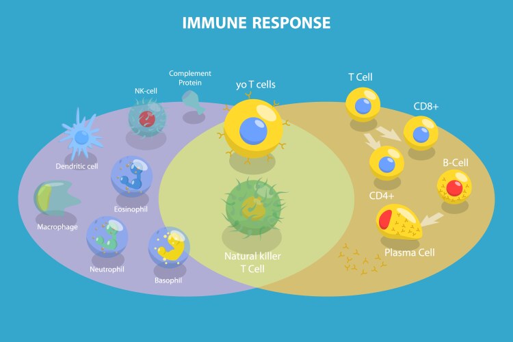 Immune System Cartoon Vector Images Over 1 700