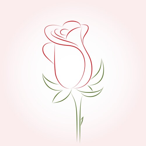 Blooming roses Royalty Free Vector Image - VectorStock