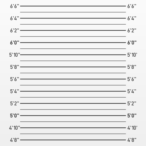 Height Chart in Jail Vector Images (over 190)