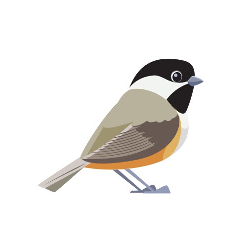 Cute Chickadee Cartoon Vector Images (over 150)