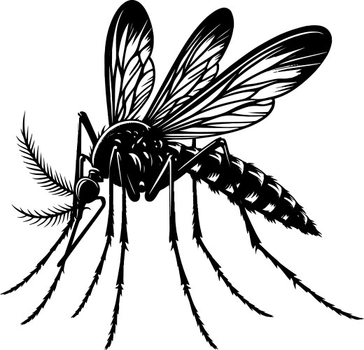 Mosquito silhouette isolated on white background Vector Image