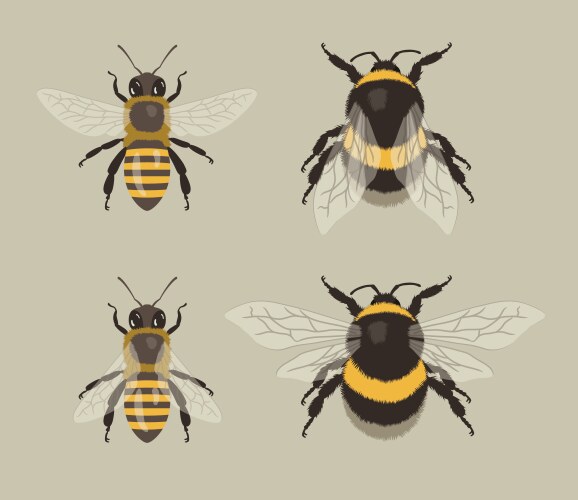 Bumblebee Vector Images (over 18,000)
